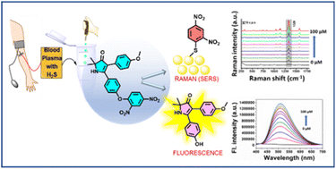 A dual mode ‘turn-on’ fluorescence-Raman (SERS) response probe based on ...