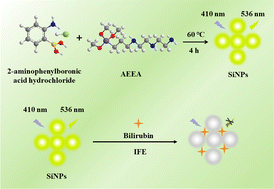 Green synthesis of yellow-green emissive silicon nanoparticles and ...