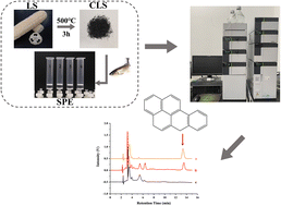 Carbonized loofah sponge-based solid-phase extraction of benzo[a]pyrene ...