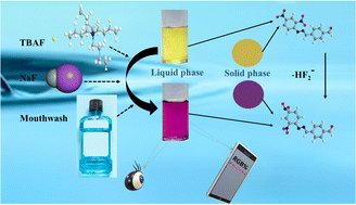 Ratiometric colorimetric detection of fluoride ions using a schiff base sensor: enhancing ...