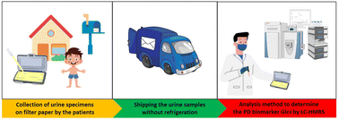 Development of a kit for urine collection on filter paper as an ...