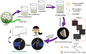 A wash-free, elution-free and low protein adsorption paper-based ...