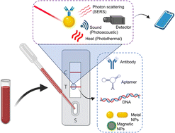 New technologies and reagents in lateral flow assay (LFA) designs for ...