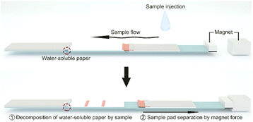 Quantitative injection strip platform using water-soluble paper and ...