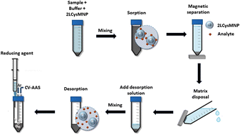 Single-vial preconcentration and cold vapor generation for the ...