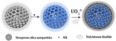 Colorimetric sensing for the sensitive detection of UO22+via the ...