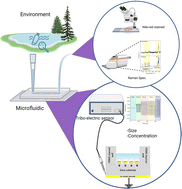 Microplastic in situ detection based on a portable triboelectric ...
