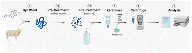 An improved, optimised and robust keratin azure assay for accurate ...