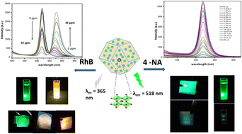 CsPbBr3 perovskite quantum dot decorated ZIF-8 MOF: a selective dual ...