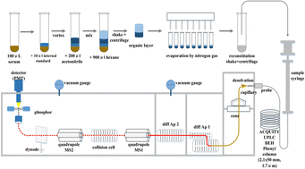 Rapid simultaneous determination of 7 fat-soluble vitamins in human ...