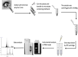 Trace analysis of steroid hormones in tear films via liquid ...