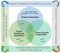 Green chemical analysis: main principles and current efforts towards ...