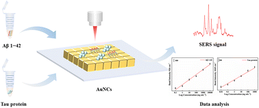 Self-assembly of Au nanocubes for ultrasensitive detection of Alzheimer ...