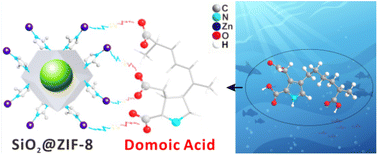 A solid phase extraction column based on SiO2@ZIF-8 for efficient analysis of domoic acid toxins ...