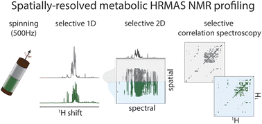 High-resolution magic-angle spinning NMR metabolic profiling with ...