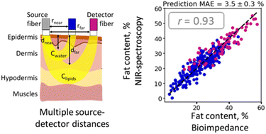 Body composition analysis via spatially resolved NIR spectroscopy with multifrequency ...