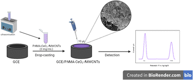 Development of a facile electrochemical sensor based on GCE modified ...
