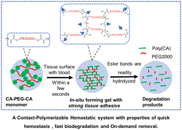 A contact-polymerizable hemostatic powder for rapid hemostasis ...