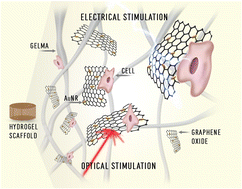 A tissue-engineered neural interface with photothermal functionality ...