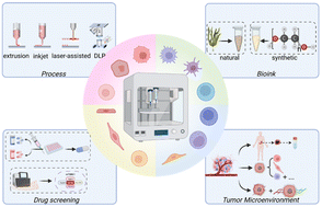 3D bioprinting tumor models mimic the tumor microenvironment for drug ...