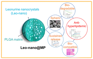 Injectable leonurine nanocrystal-loaded microspheres for long-term ...
