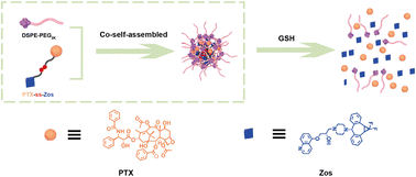 Redox-responsive drug-inhibitor conjugate encapsulated in DSPE-PEG2k ...