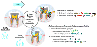 Advances in antimicrobial hydrogels for dental tissue engineering ...