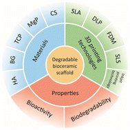 Mechanism and application of 3D-printed degradable bioceramic scaffolds ...