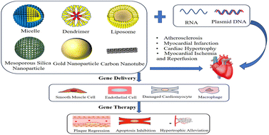 Nanocarriers for gene delivery to the cardiovascular system ...
