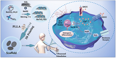Oxygen vacancy healing boosts the piezoelectricity of bone scaffolds ...
