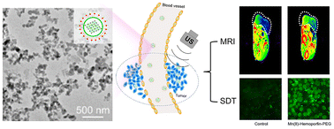 Mn(ii)–hemoporfin-based metal–organic frameworks as a theranostic ...