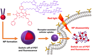 Red fluorescent BODIPY-based nanoparticles for targeted cancer imaging ...