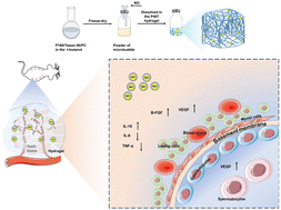 P407 hydrogel loaded with nitric oxide microbubbles promotes ...