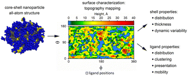 Effect of ligand and shell densities on the surface structure of core ...