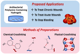 Antibacterial polylysine-containing hydrogels for hemostatic and wound ...