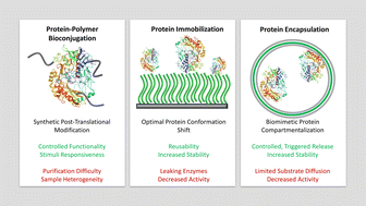 Protein–polymer bioconjugation, immobilization, and encapsulation: a ...