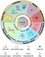 Cell-membrane engineering strategies for clinic-guided design of ...