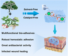 Natural polyphenolic antibacterial bio-adhesives for infected wound ...