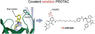 Development of a covalent cereblon-based PROTAC employing a ...