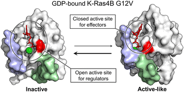Protein conformational ensembles in function: roles and mechanisms - RSC Chemical Biology (RSC ...
