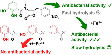 The catechol moiety of obafluorin is essential for antibacterial ...