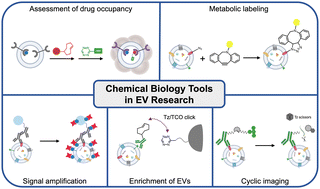 Recent advances in chemical biology tools for protein and RNA profiling ...