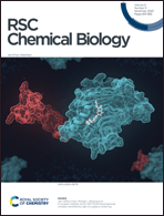 Inside front cover - RSC Chemical Biology (RSC Publishing)