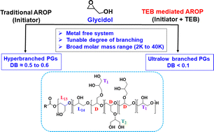 Quasilinear polyglycidols by triethyborane-controlled anionic ...