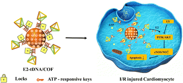 Endogenous stimulus-controlled estradiol@AIEgen-based covalent organic ...