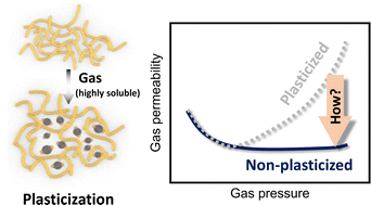 Covalent and non-covalent approaches to suppress plasticization of ...