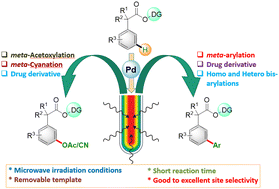 Functionalization of arylacetic acids via directing-group-assisted remote meta-C–H activation ...