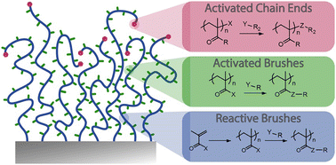 A guide to functionalisation and bioconjugation strategies to surface ...