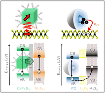 Energy transfer and charge transfer between semiconducting nanocrystals and transition metal ...