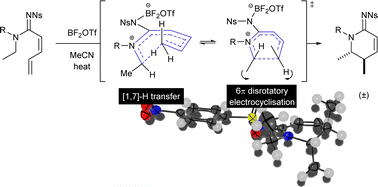 Stereodefined synthesis of cyclic amidines by domino 1,7-H shift and 6π ...